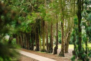 Ansty Hall Hotel - Elegant Hotel Collection